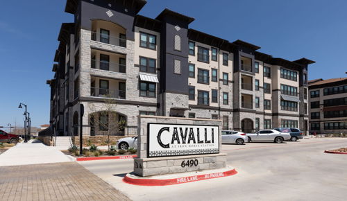 Cavalli At Iron Horse
